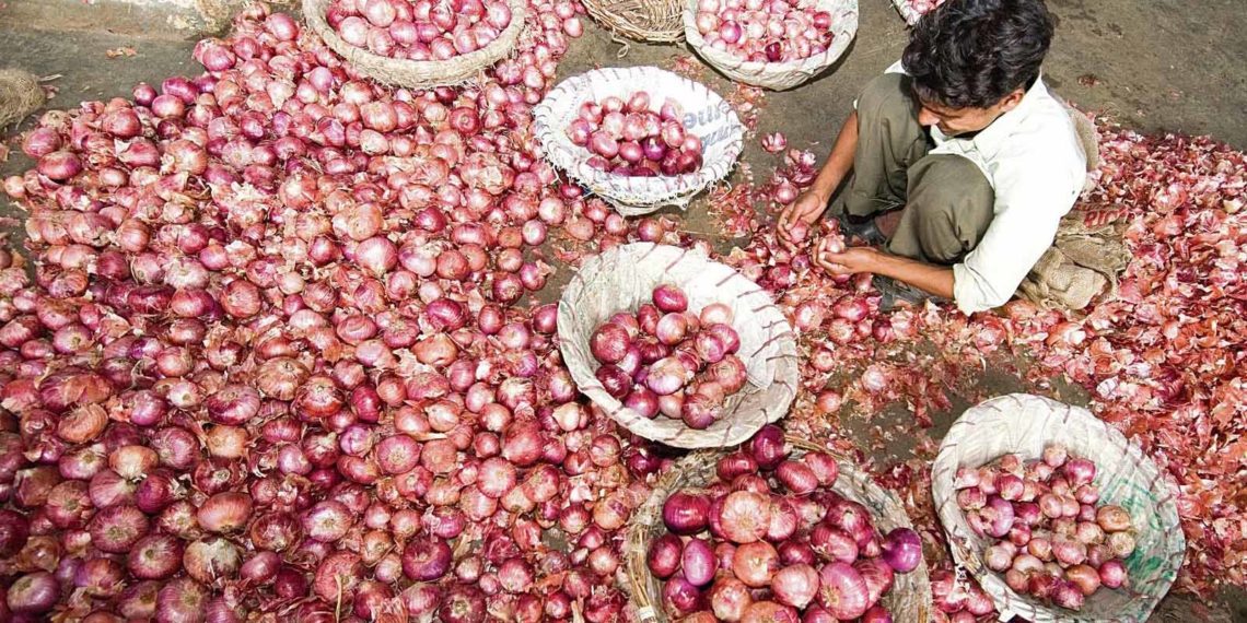 Nafed-NCCF resume procurement of onions